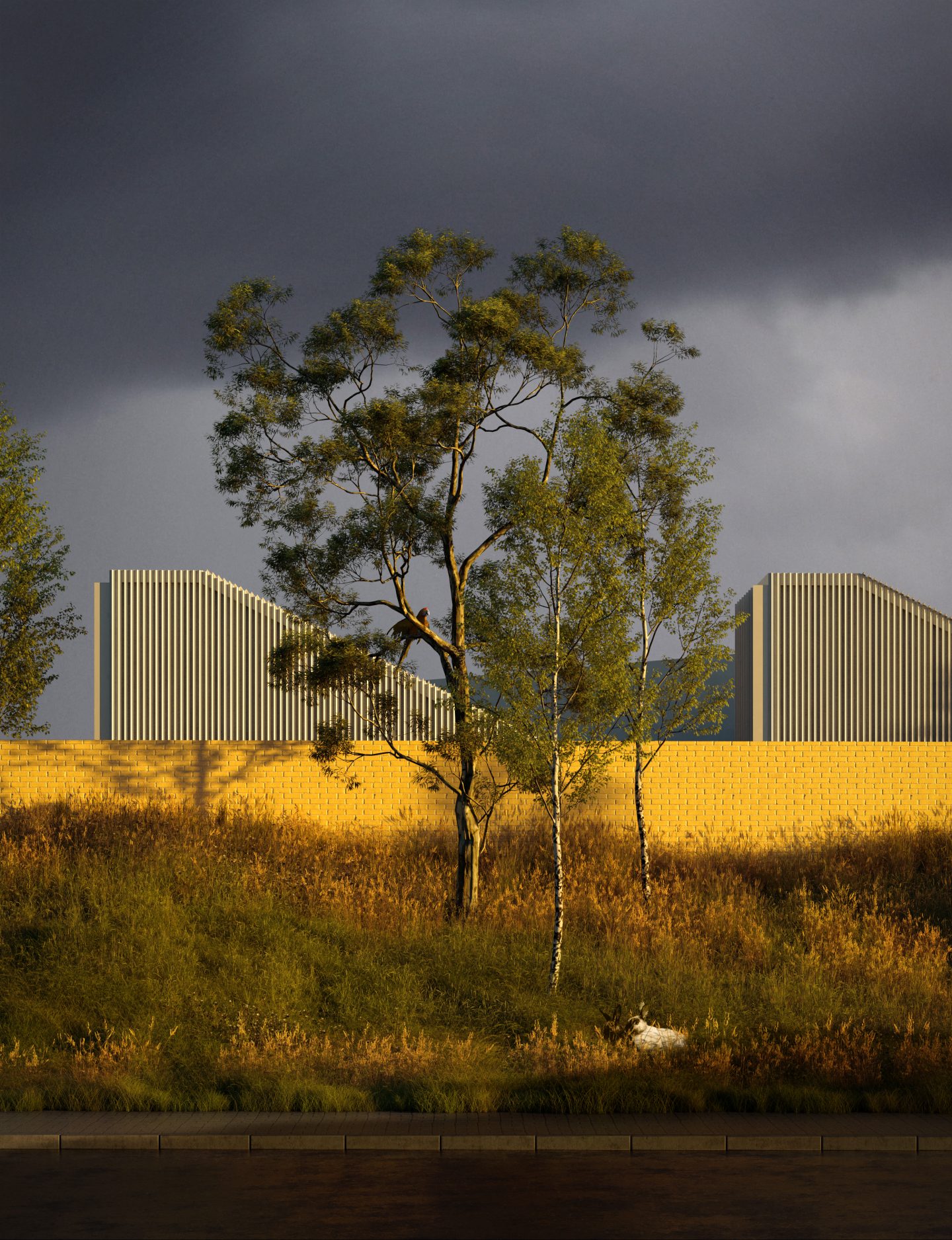 The Heffron Centre | Animation & Renderings for CO-OP Studio